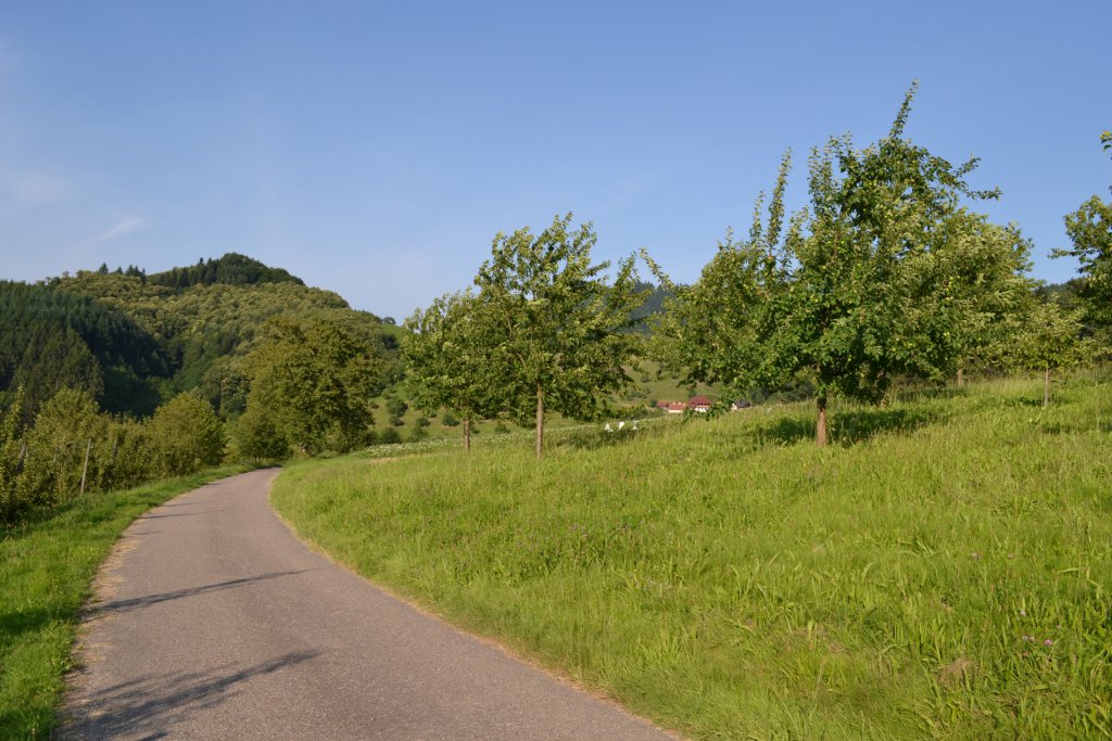 Das Renchtal im Nationalpark Schwarzwald - Die Alm
